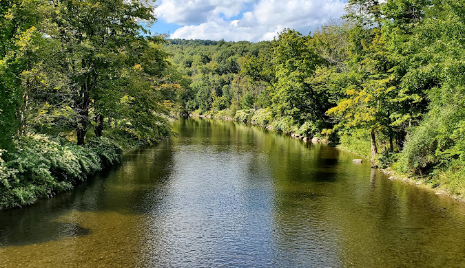 The Best of Callicoon, NY - Red Cottage
